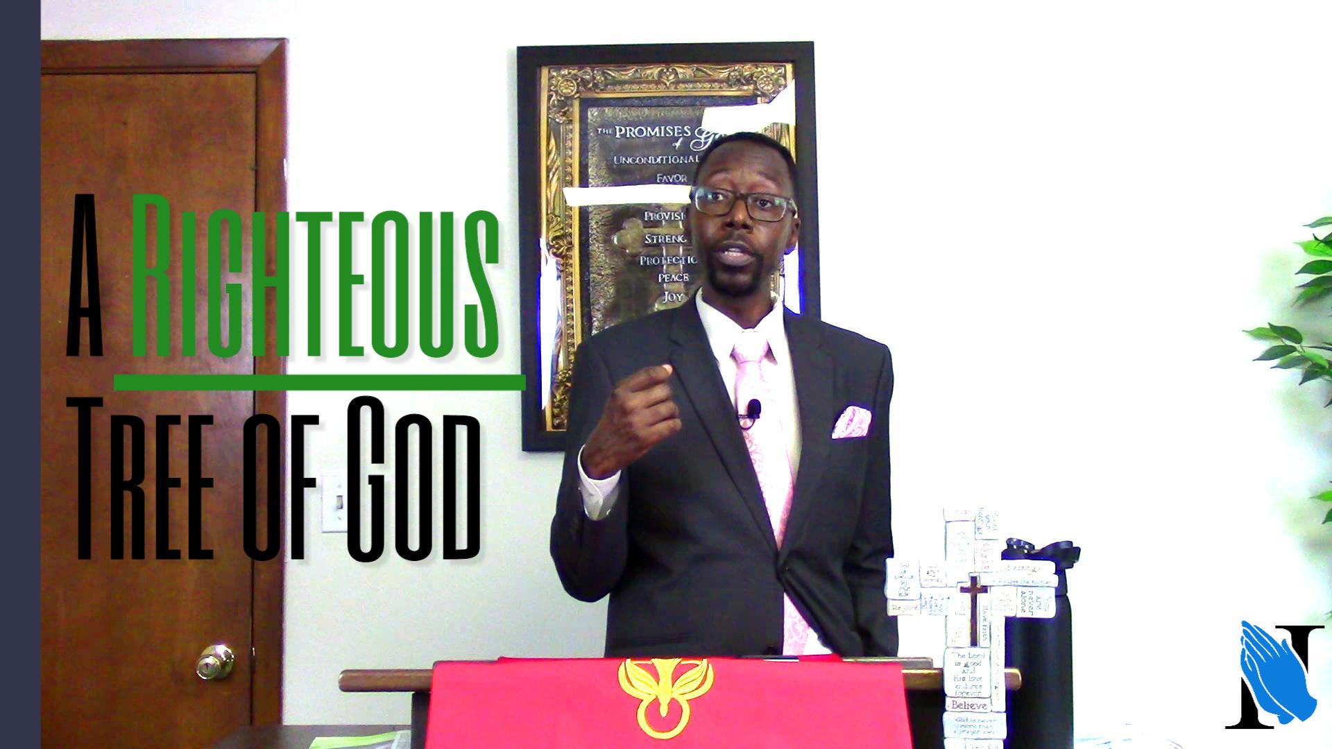 Sermon - A Righteous Tree of God | Rev. Leo H. McCrary II